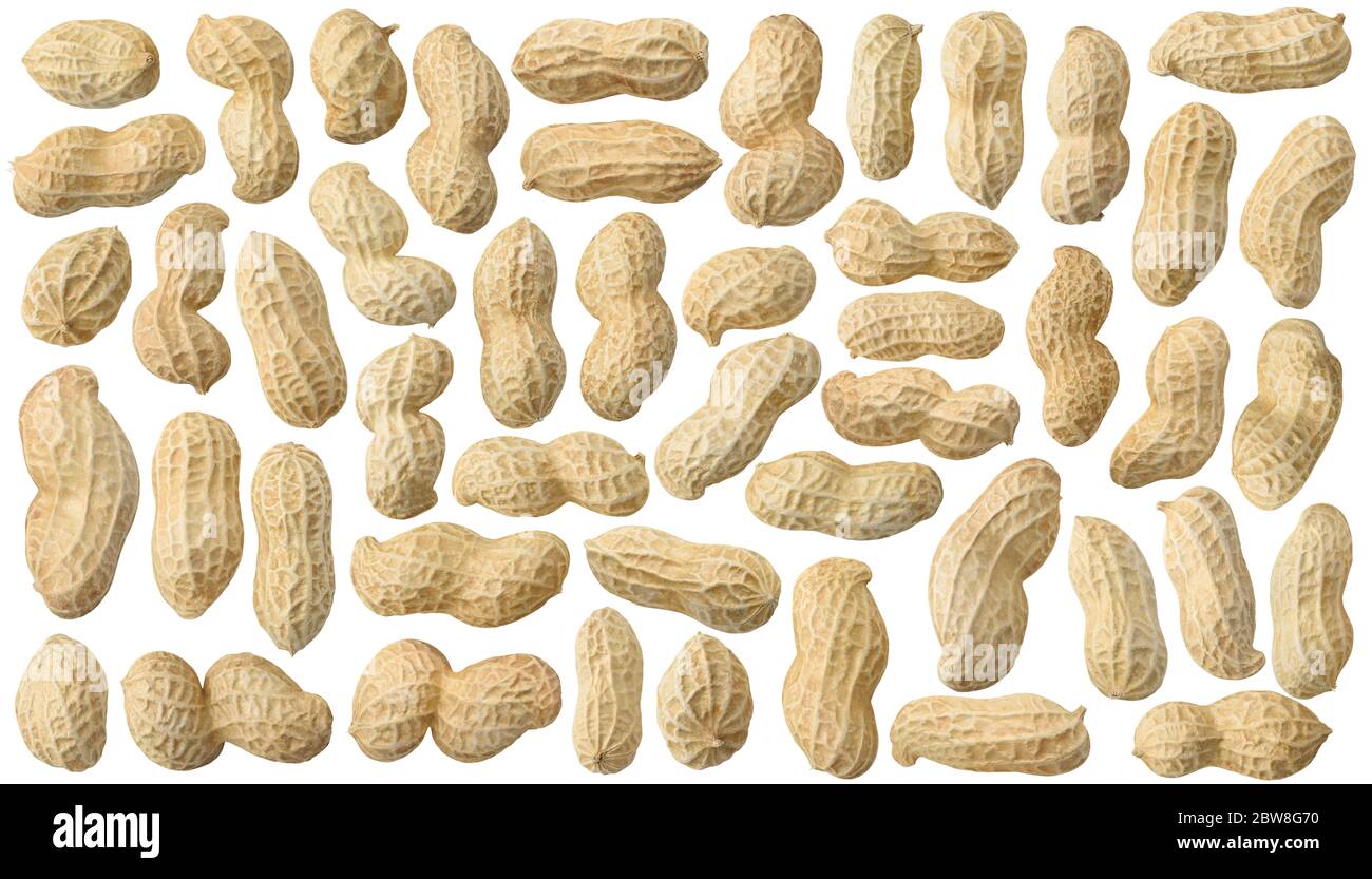 Isolated peanuts. Collection of raw peanuts in shells isolated on white ...