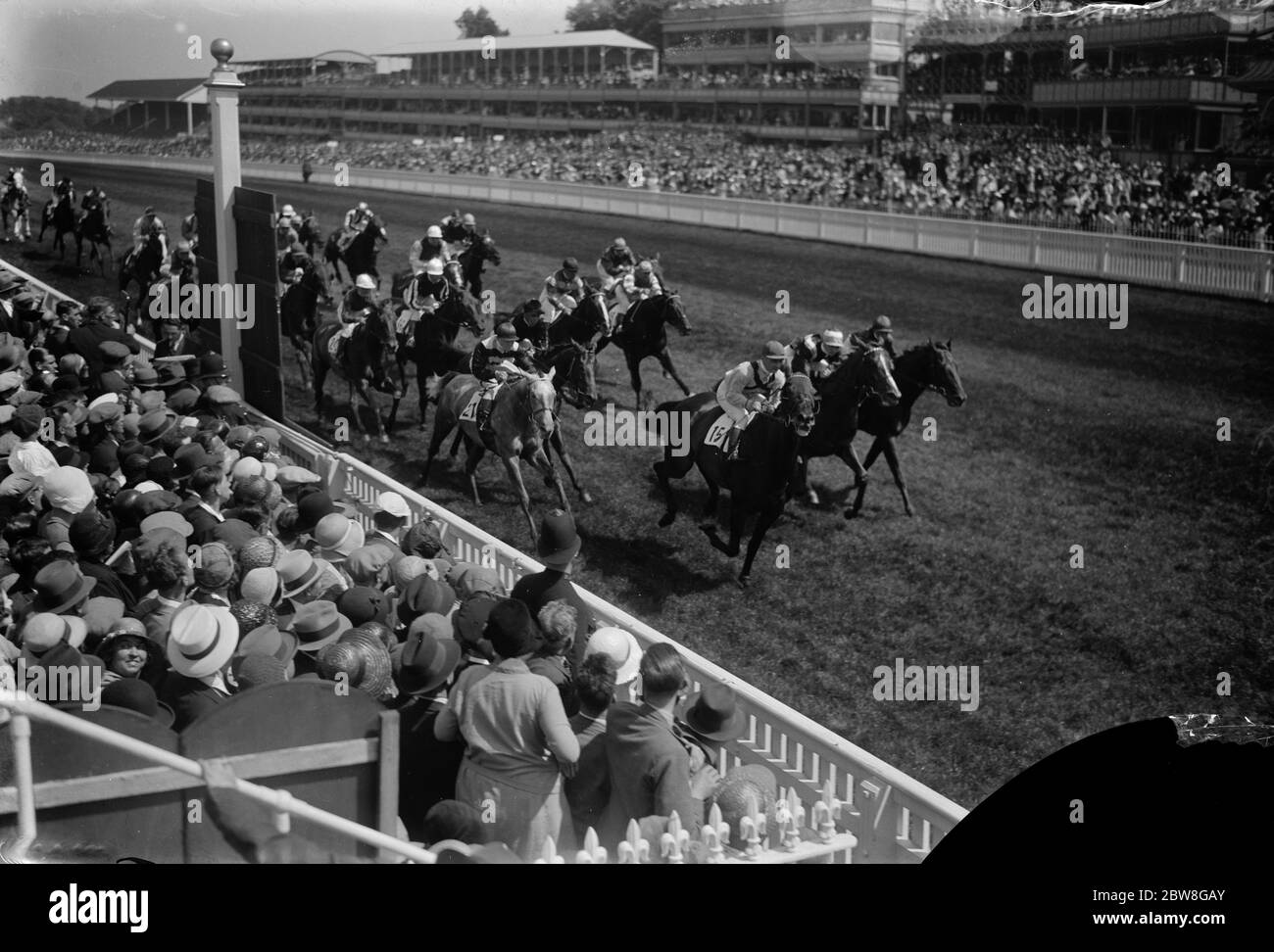 Dead heat horse race hi-res stock photography and images - Alamy