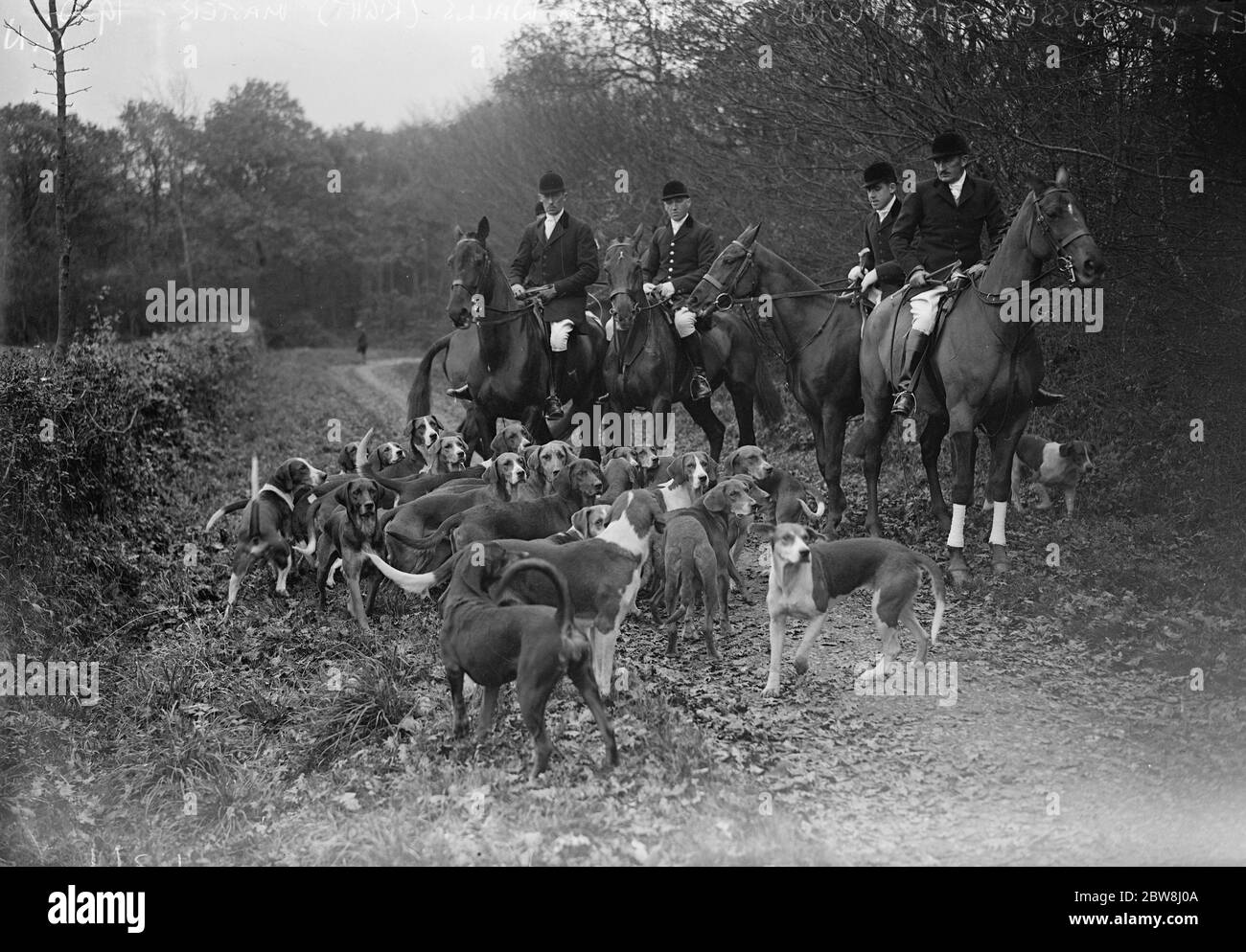 First of a pack of Sussex staghounds , famous actor as master . Mr Tom ...