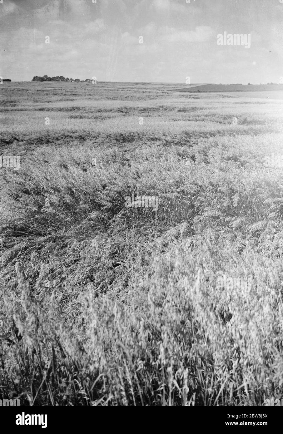 Storm land Black and White Stock Photos & Images - Alamy