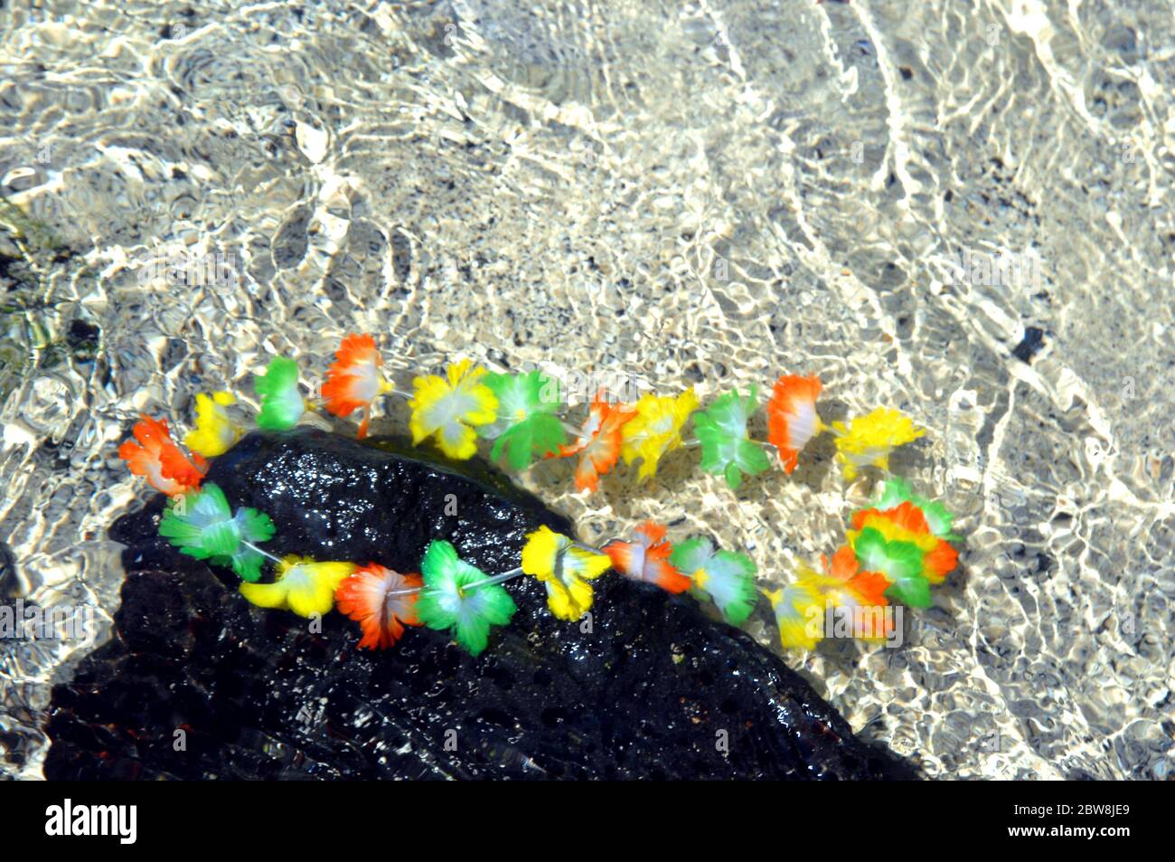 Wet lei hi-res stock photography and images - Alamy