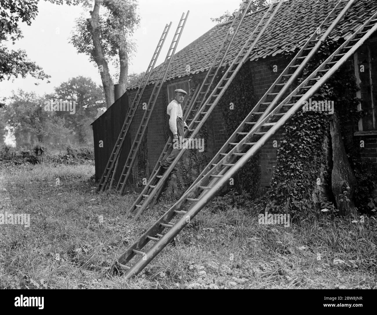 Samuel Hook , Scottow , ladder maker . 1937 Stock Photo - Alamy