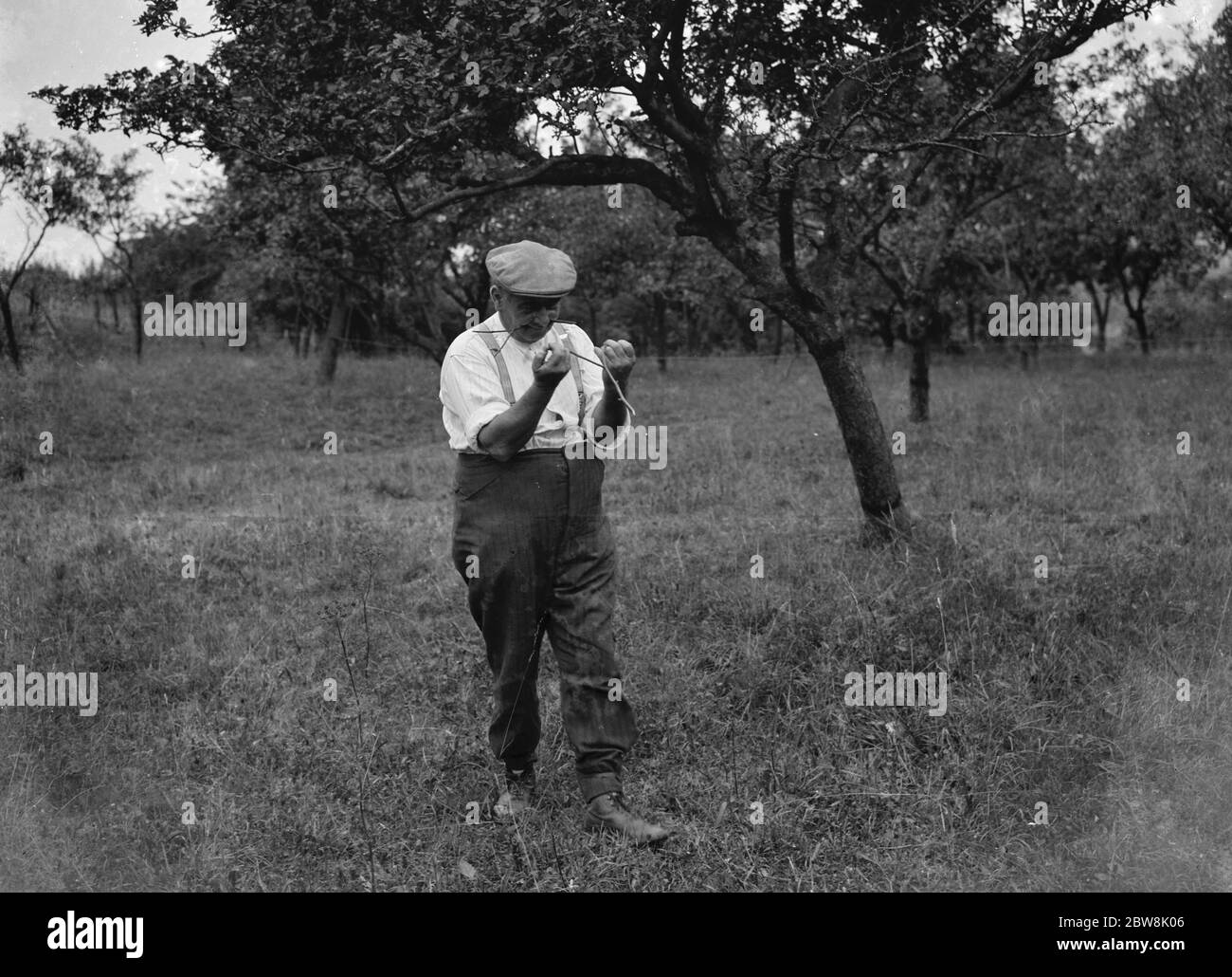 Water dowsing divining hi-res stock photography and images - Alamy