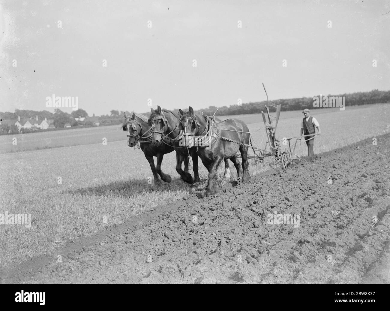 Plough horses hi-res stock photography and images - Alamy