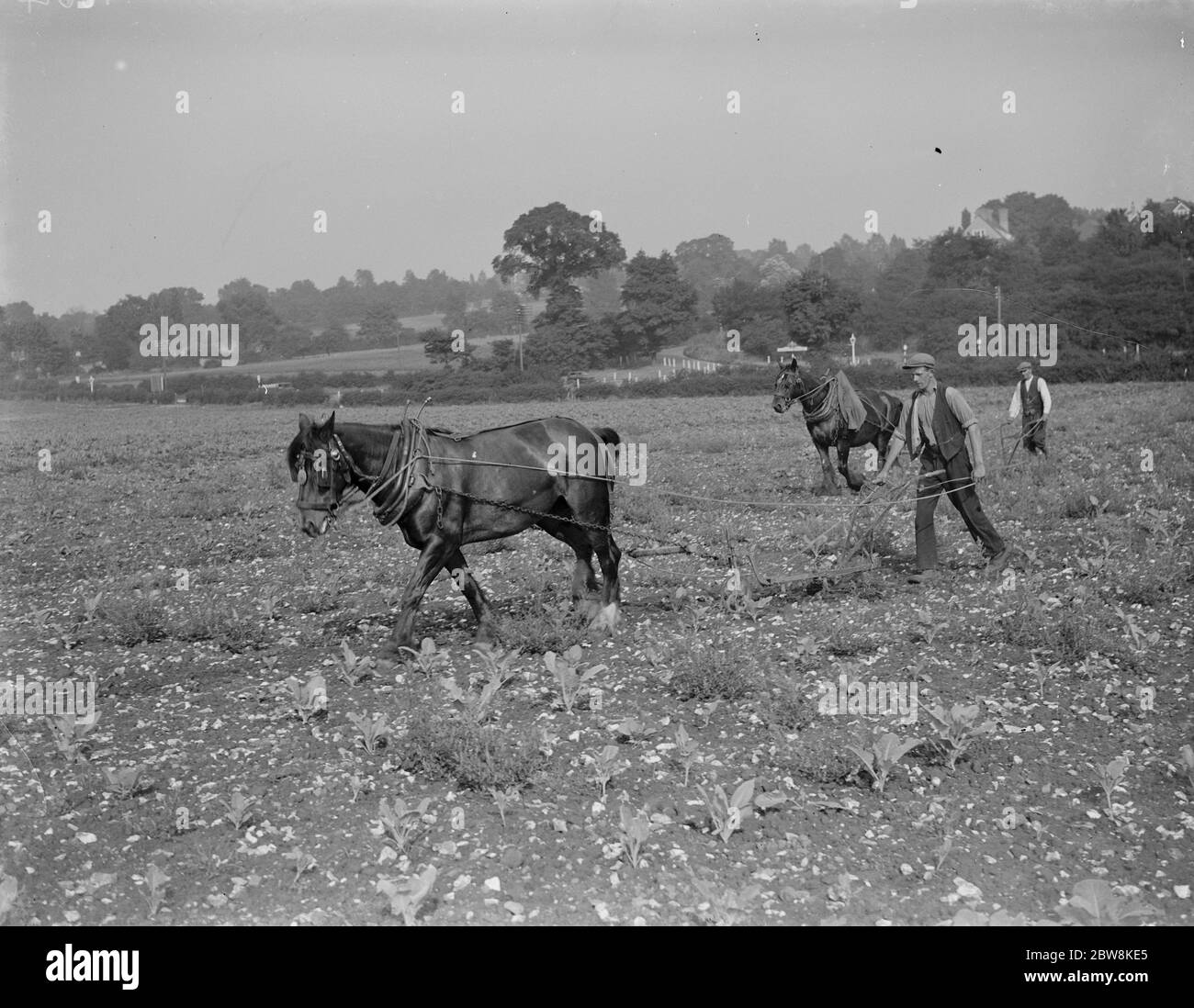 Ploughs hi-res stock photography and images - Alamy