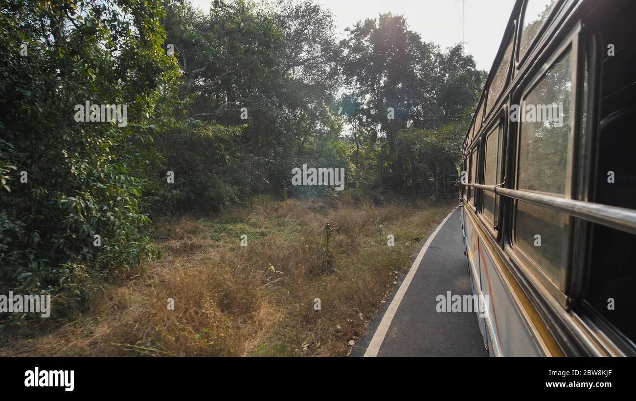 The view from the window of an intercity bus in India. State of Goa ...