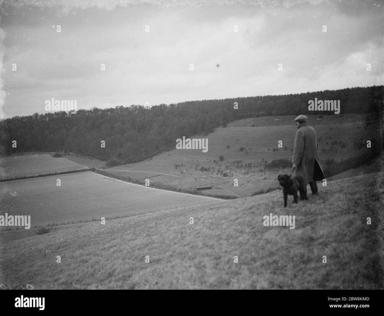 A farmer and his dog stands to view his fields at Preston hill farm ...