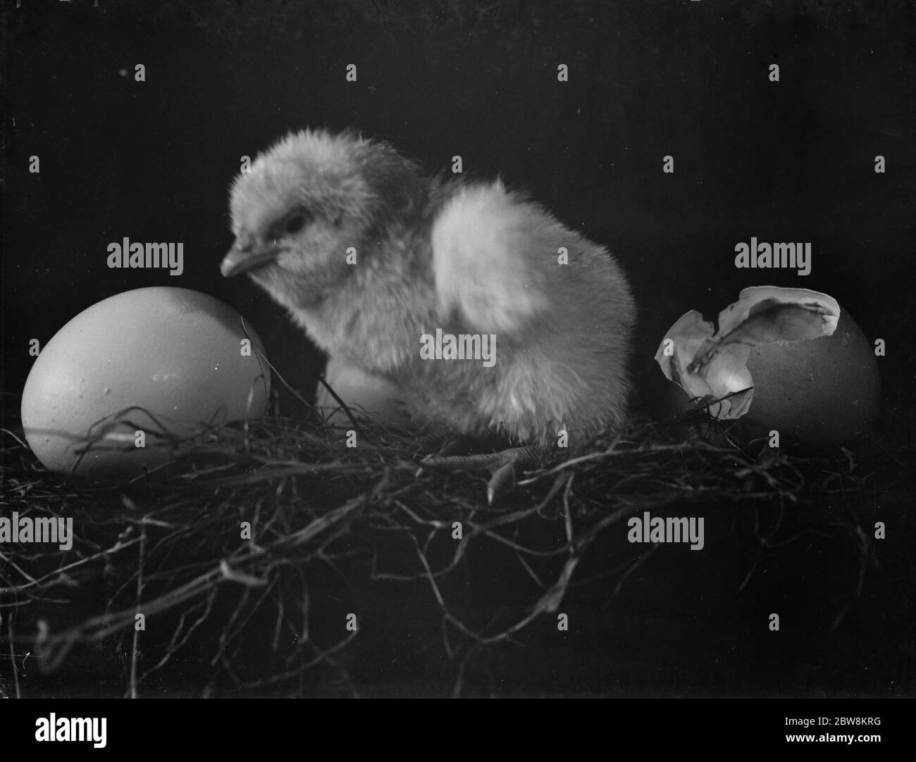 Hatches and hatches hi-res stock photography and images - Alamy
