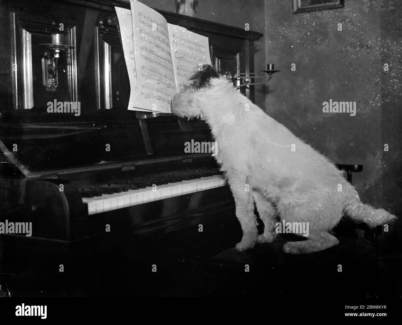 Cinders hi-res stock photography and images - Alamy