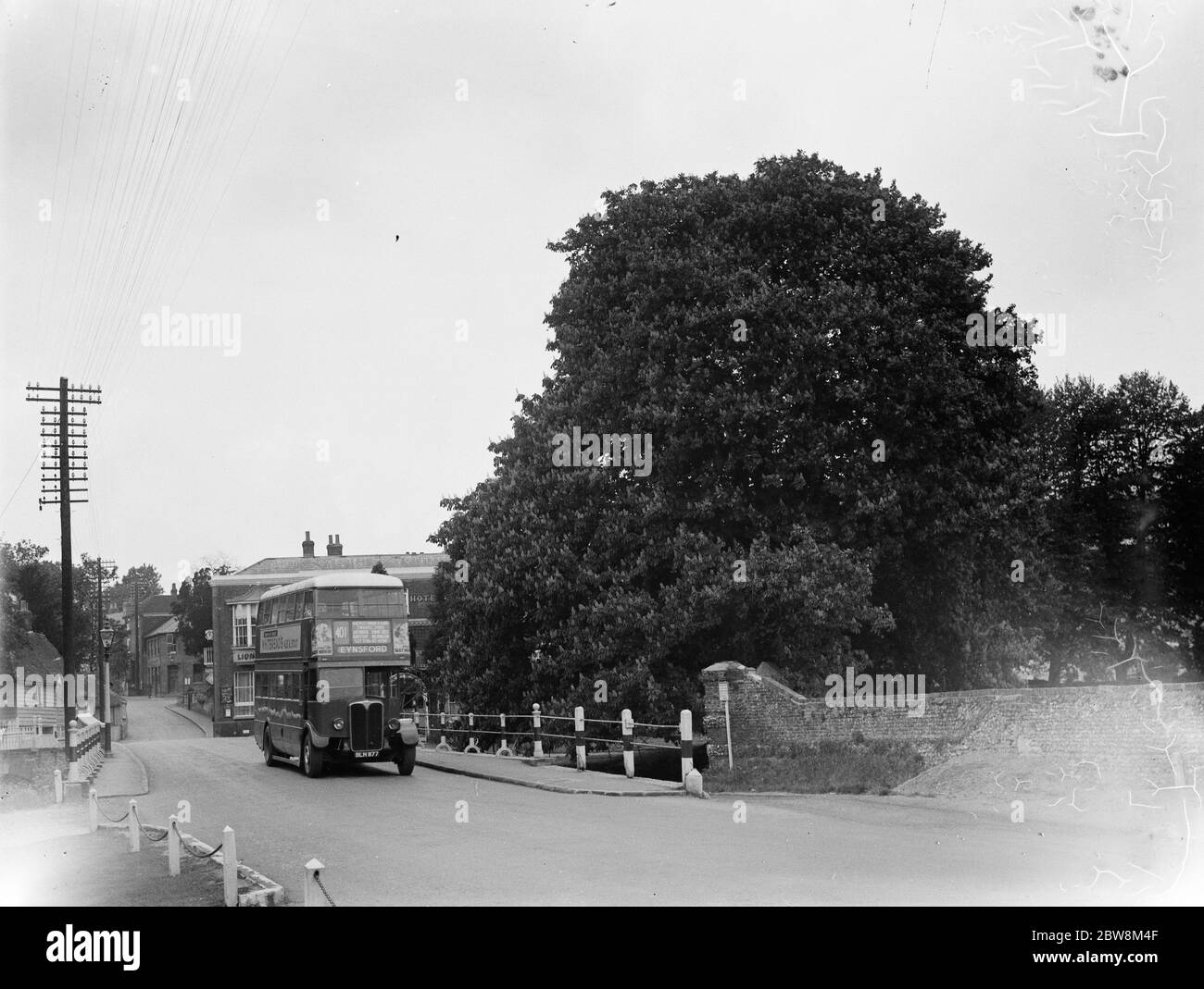 Chestnut trees on the roadside in Farningham , Kent . 1935 Stock Photo ...
