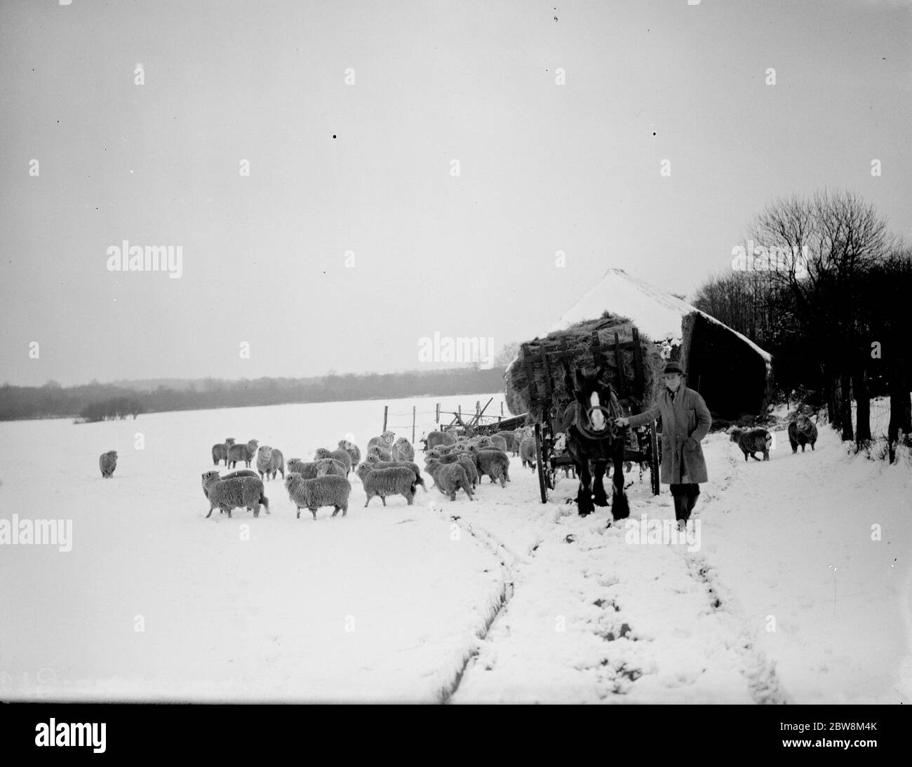Horse drawn hay cart hi-res stock photography and images - Alamy