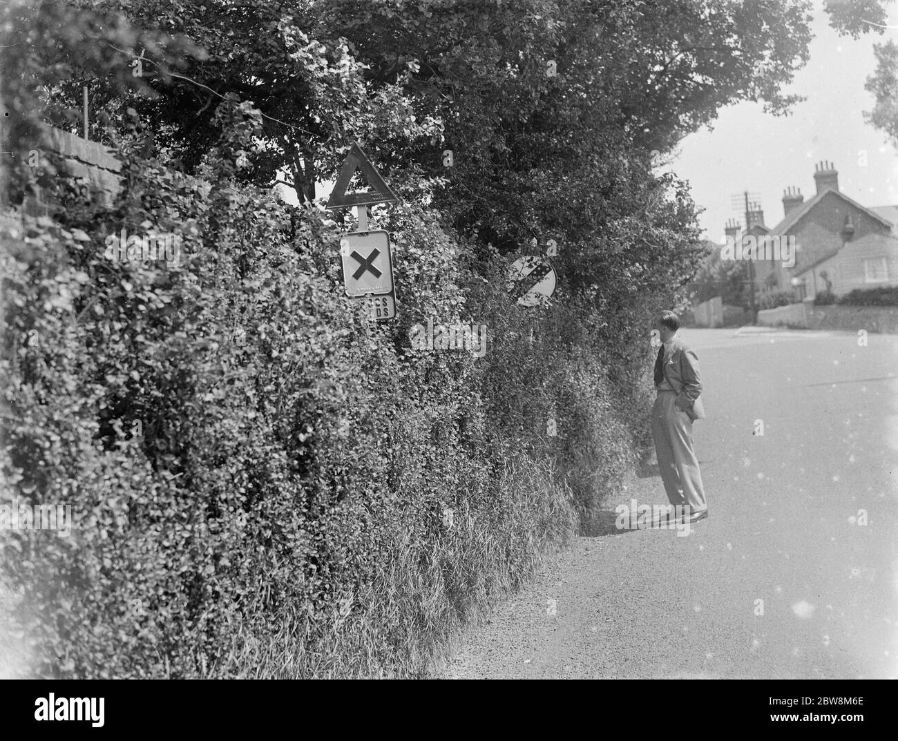 Road signs obscured by the over grown hedges in Farningham , Kent ...