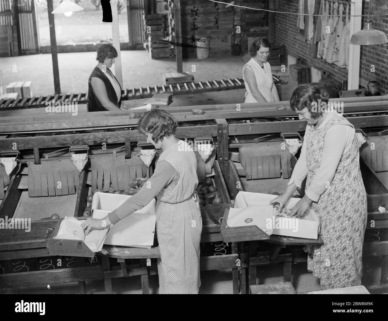 Women boxing hi-res stock photography and images - Alamy