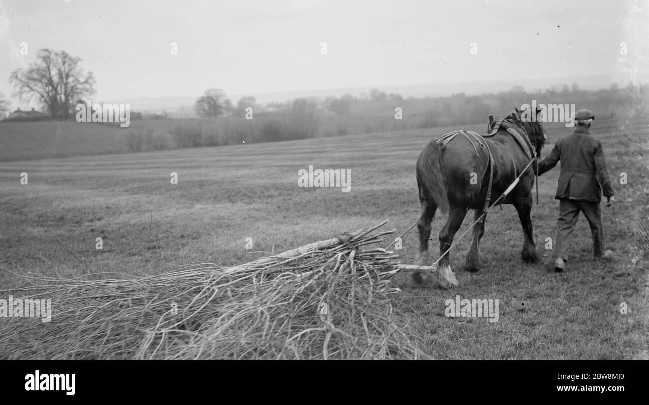 A farmer using a horse to pull a harrow across his field . 1936 Stock ...