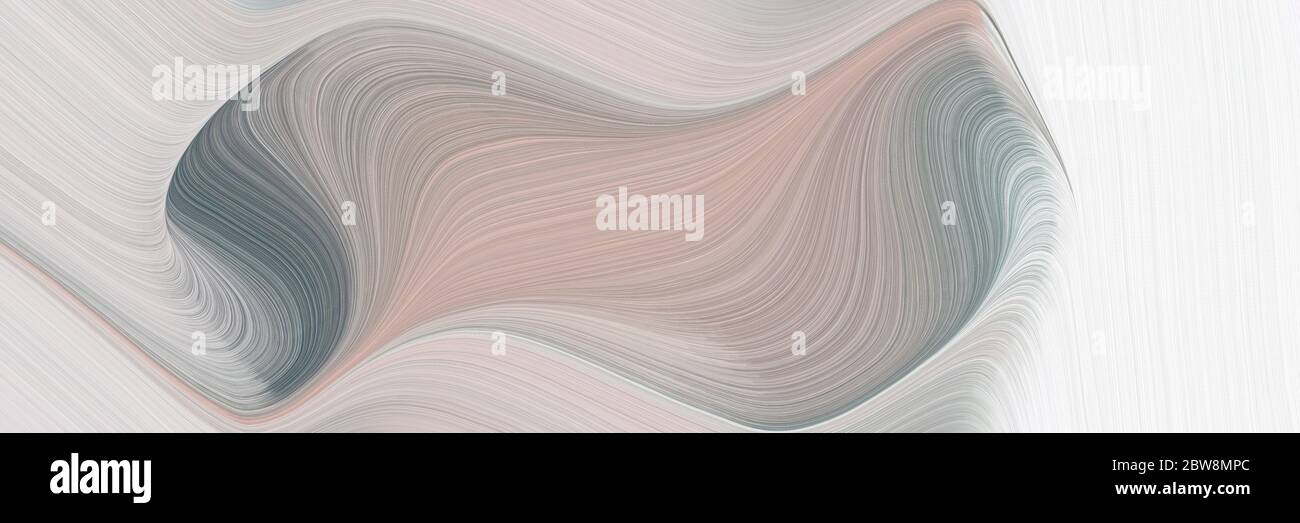 abstract colorful header design with pastel gray, light gray and dim ...
