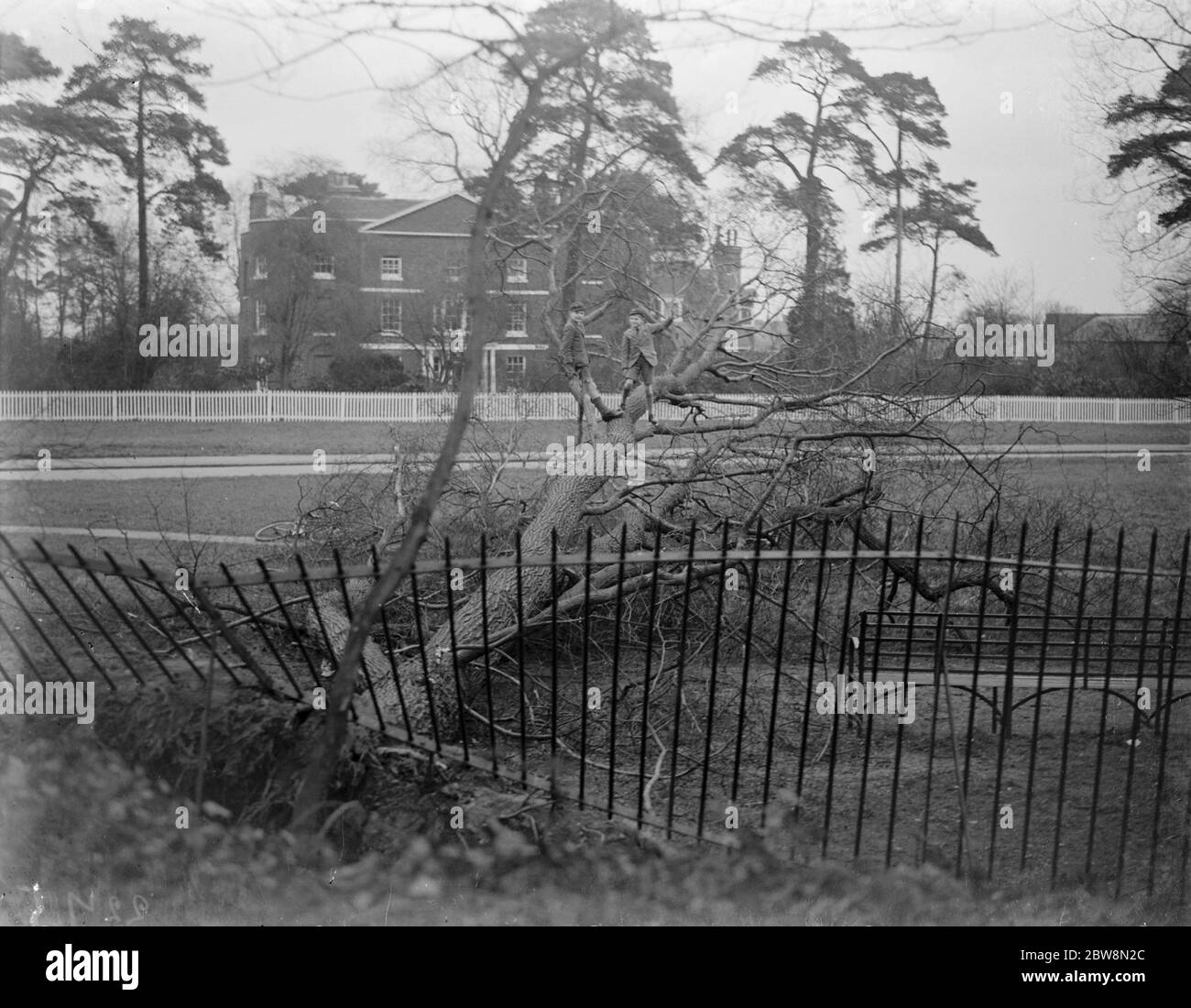 House tree damage Black and White Stock Photos & Images - Alamy