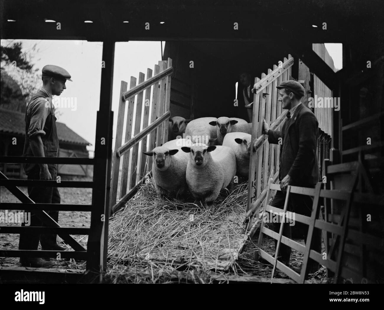 From the lorry Black and White Stock Photos & Images - Alamy