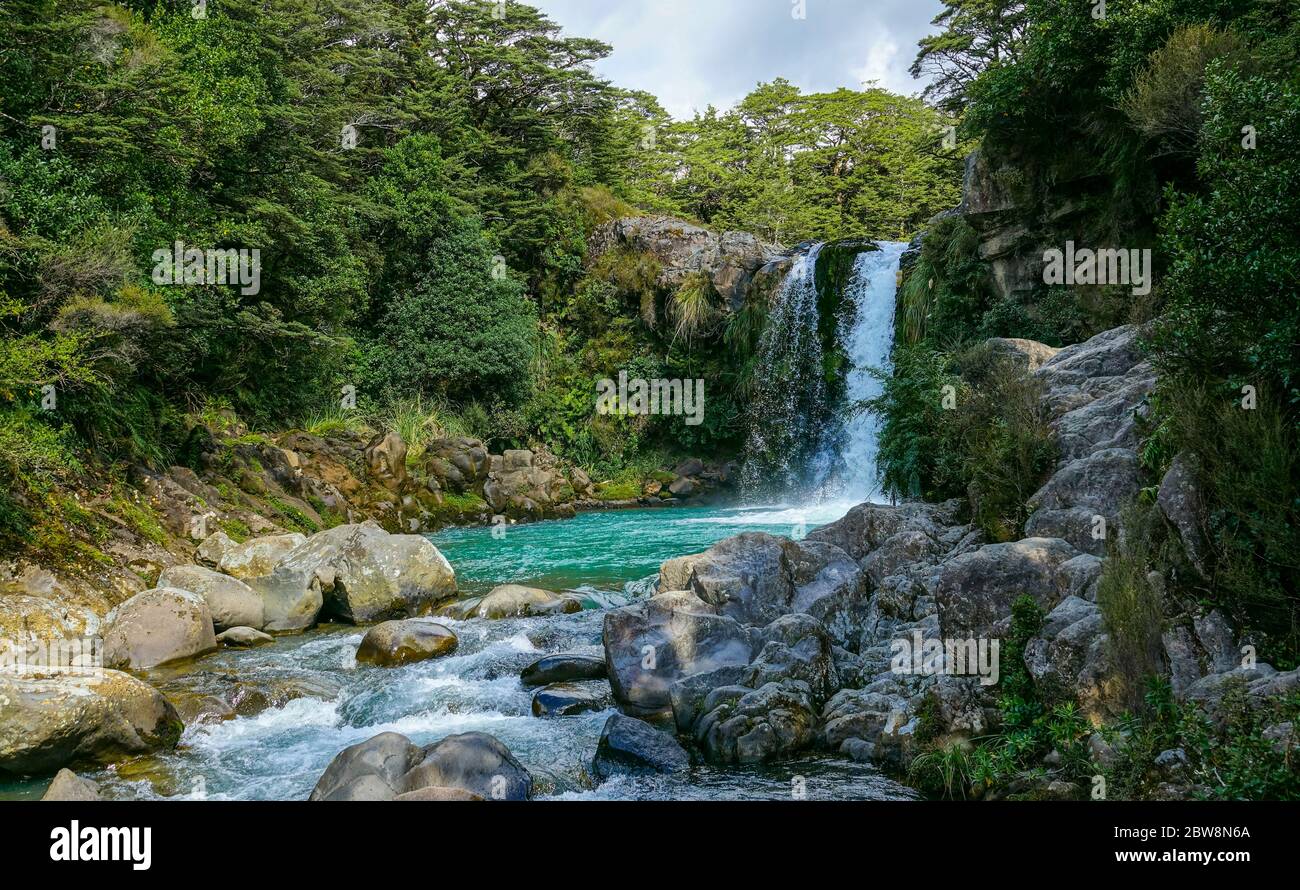 Gollums hi-res stock photography and images - Alamy