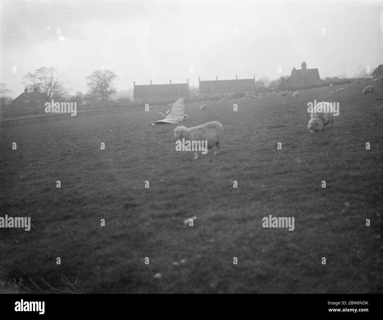 Mignet HM.14 Flying Flea G-AEEW crashed at an airshow held at Penshurst ...
