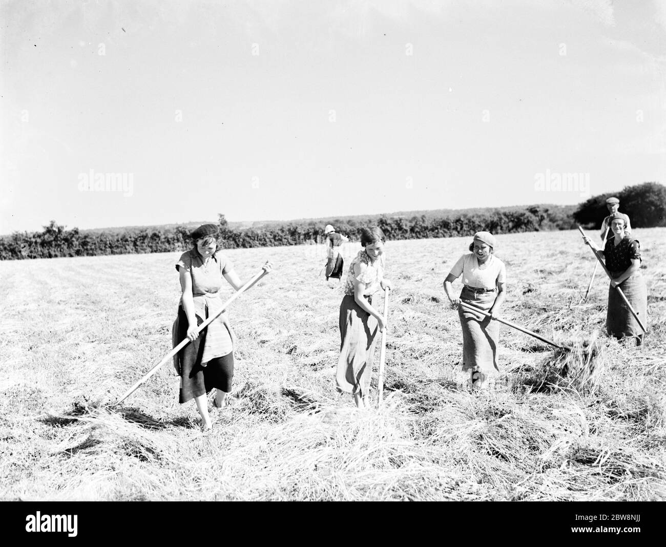 Man and scythe in hay field hi-res stock photography and images - Alamy