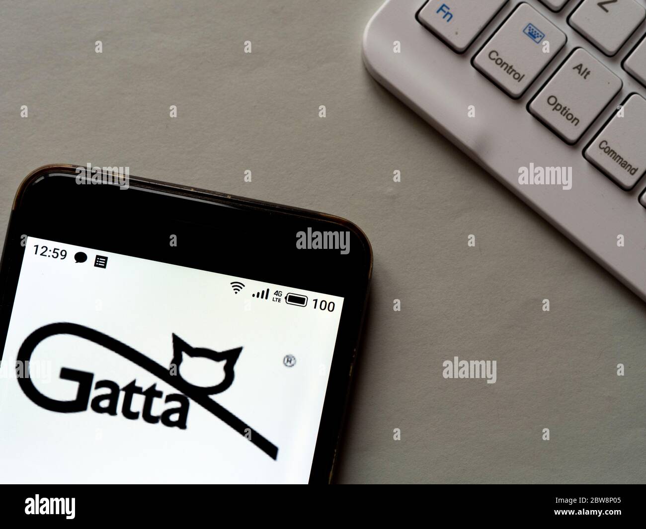 In this photo illustration a Gatta logo seen displayed on a smartphone ...