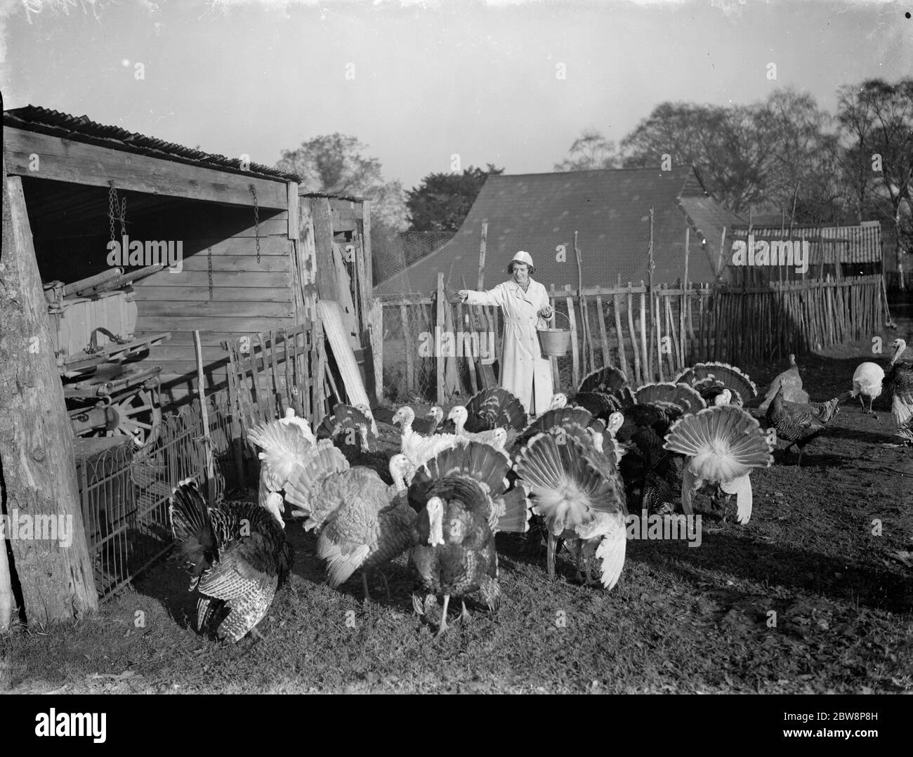 On feeding Black and White Stock Photos & Images - Alamy