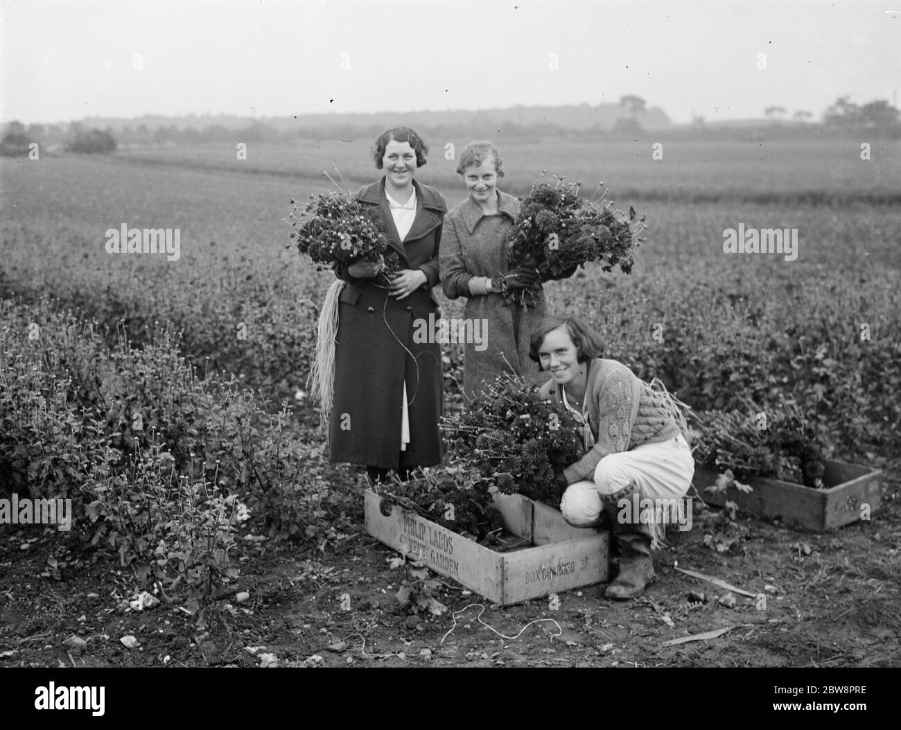 Woman Holding Flowers 1930s High Resolution Stock Photography and ...