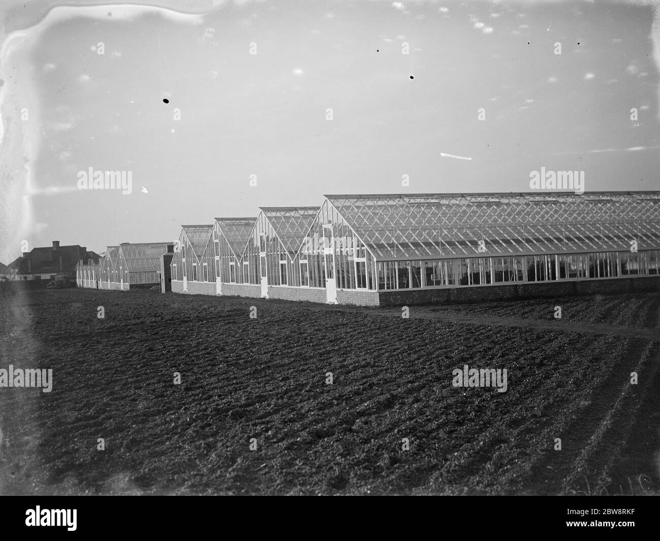 Glass houses at the Horticultural College , Swanley , Kent . 1935 Stock ...