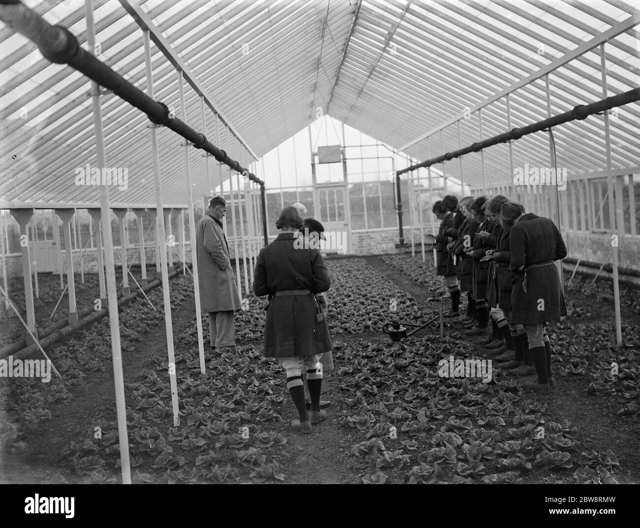 Demonstration house hi-res stock photography and images - Alamy