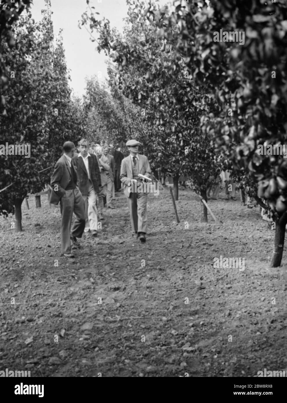 Mr J Amos showing people around at the East Malling Research Station ...