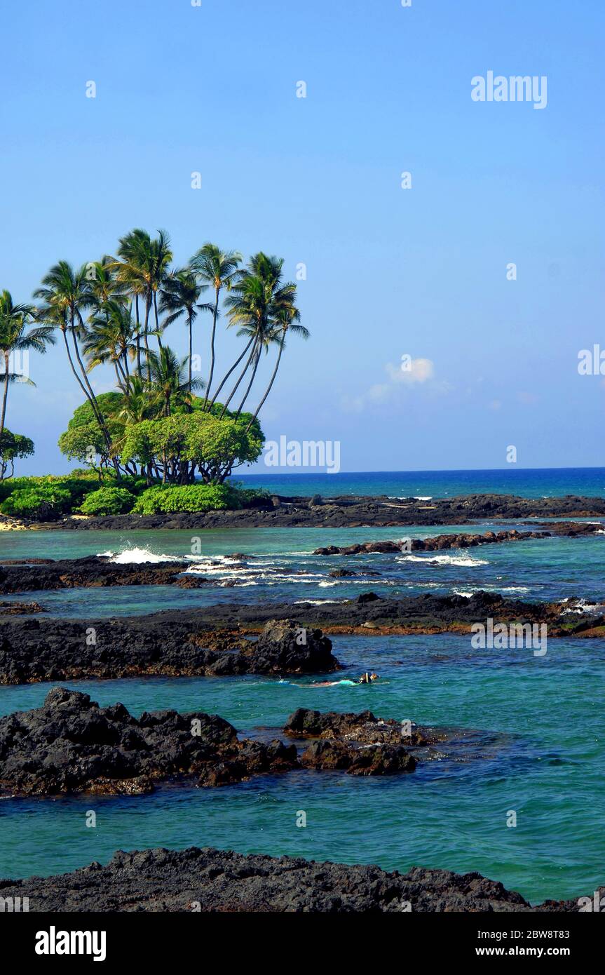 Woman explores beautiful underwater world hi-res stock photography and ...