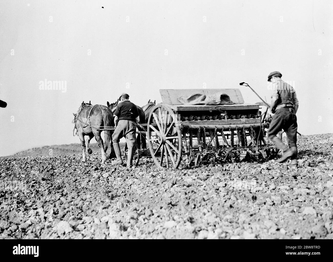 Agriculture seed drilling Black and White Stock Photos & Images - Alamy