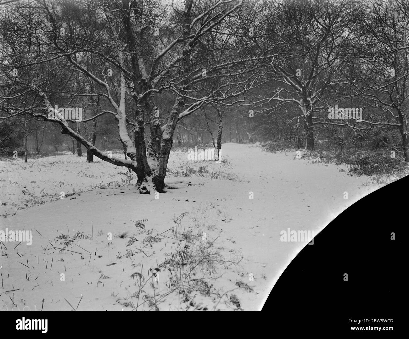 December 1938 hi-res stock photography and images - Alamy