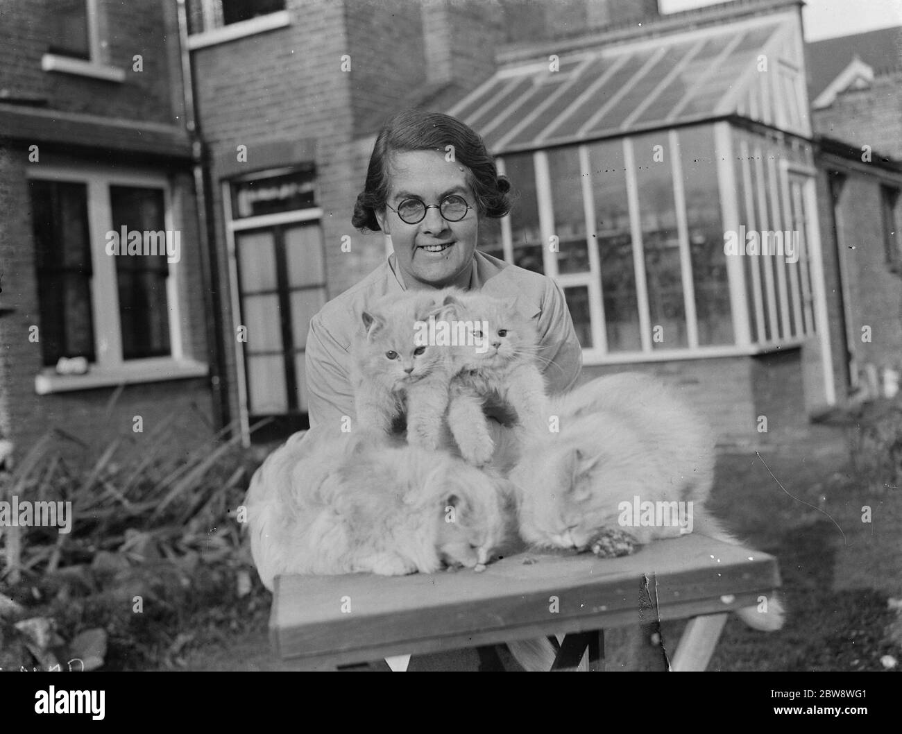 The Mayoress of Bexley , Mrs Buckingham with some of her prize cats ...