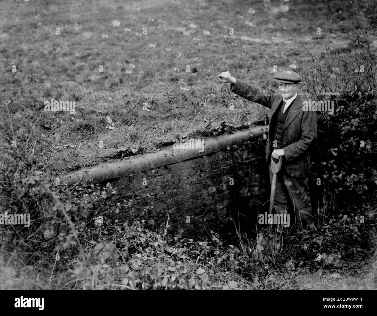 Looking for rabbits hi-res stock photography and images - Alamy