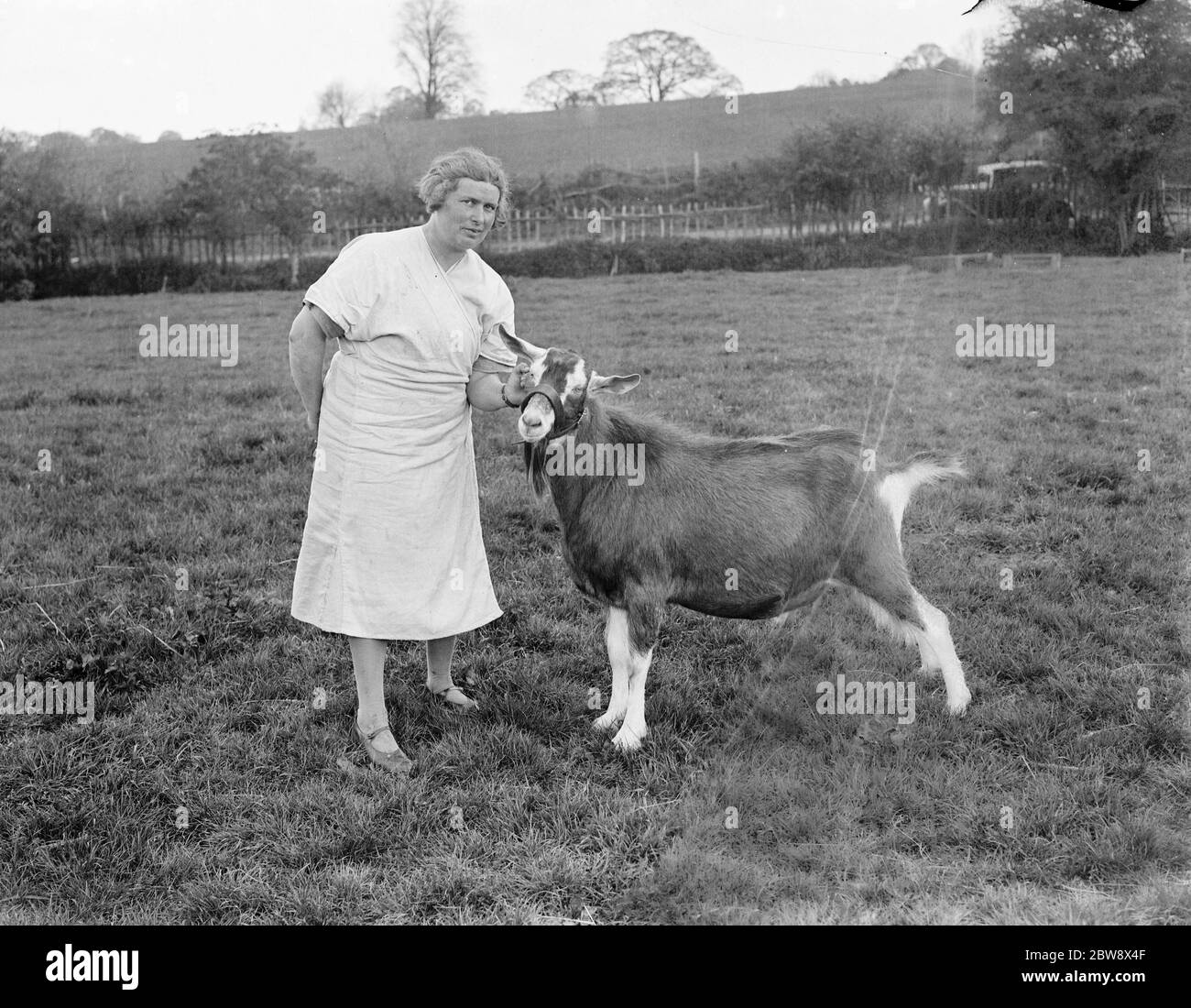 Mrs Violet Ashbee with a goat at a goat farm in Birling , Kent . 1939 ...