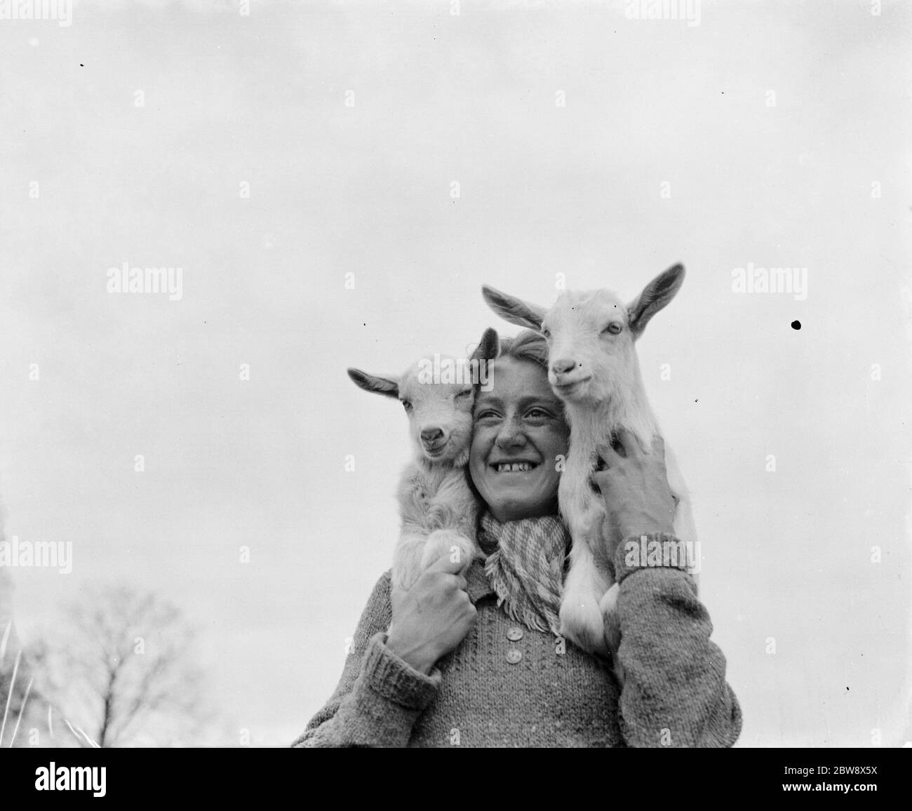 Connie Gurney holding a pair of kids at a goat farm in birling , Kent ...