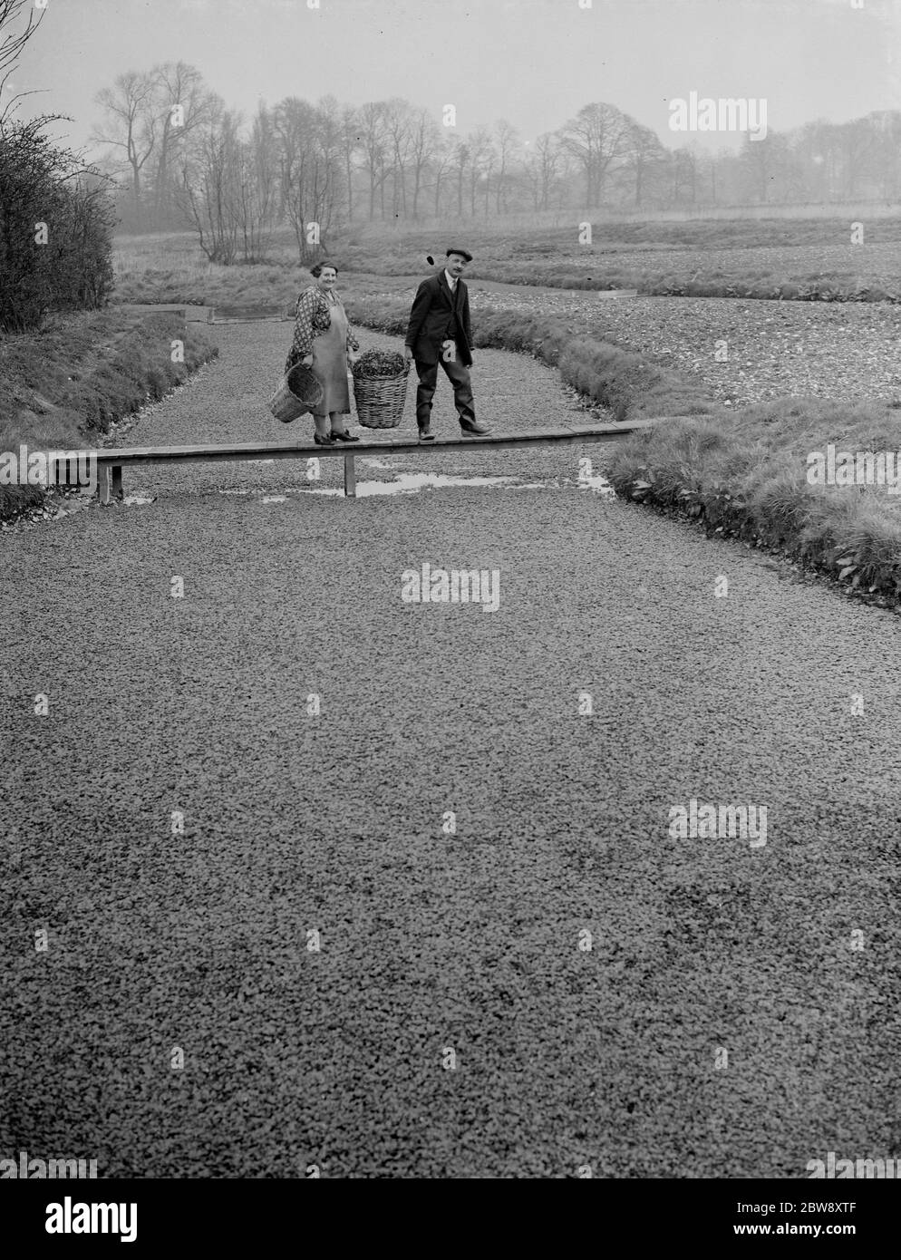 Mr mrs bridge Black and White Stock Photos & Images - Alamy