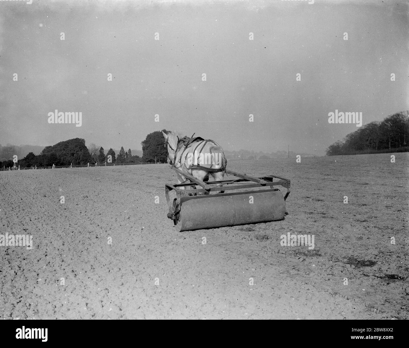 Field roller hi-res stock photography and images - Alamy
