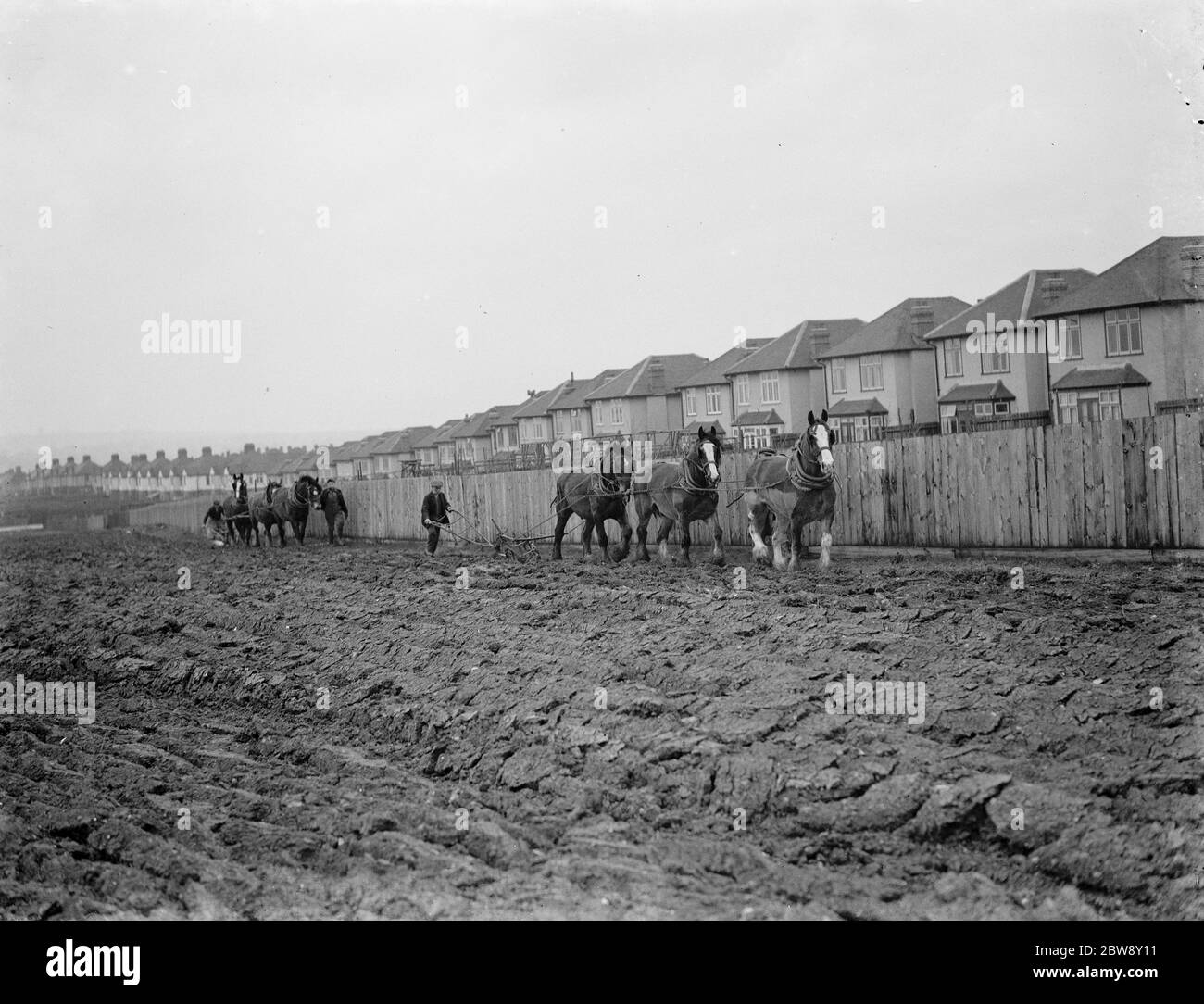 Changing Britain - the suburbs meet the farmland A farmer and his horse ...