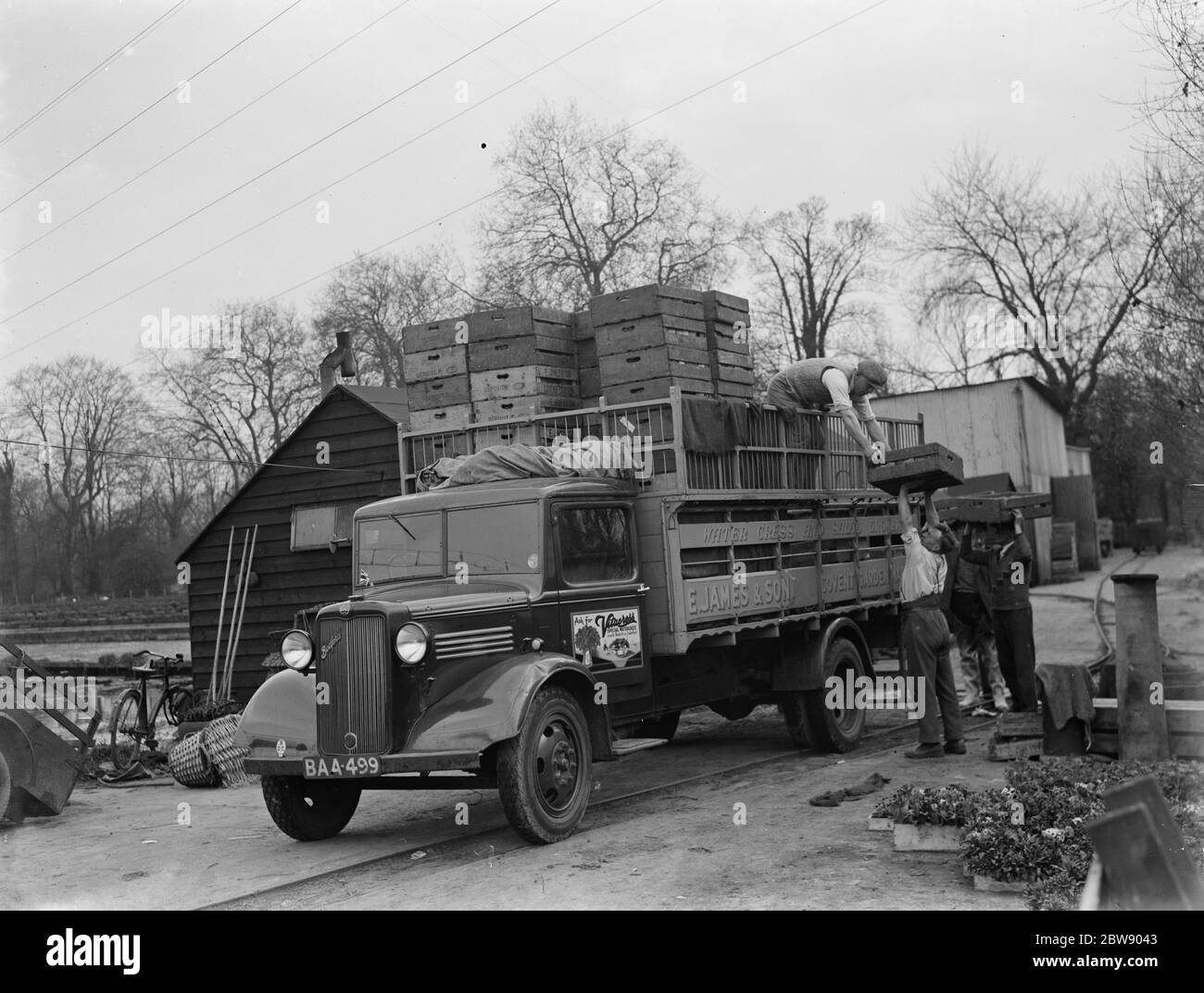 Workers loading wooden crates onto a Bedford truck belonging to E James ...