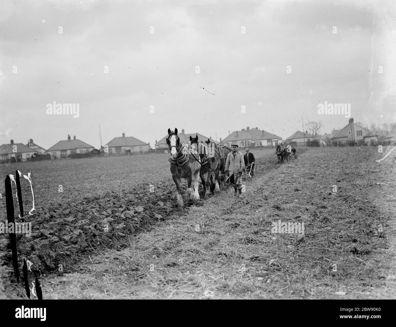 Farmer with a horse drawn plough Black and White Stock Photos & Images ...