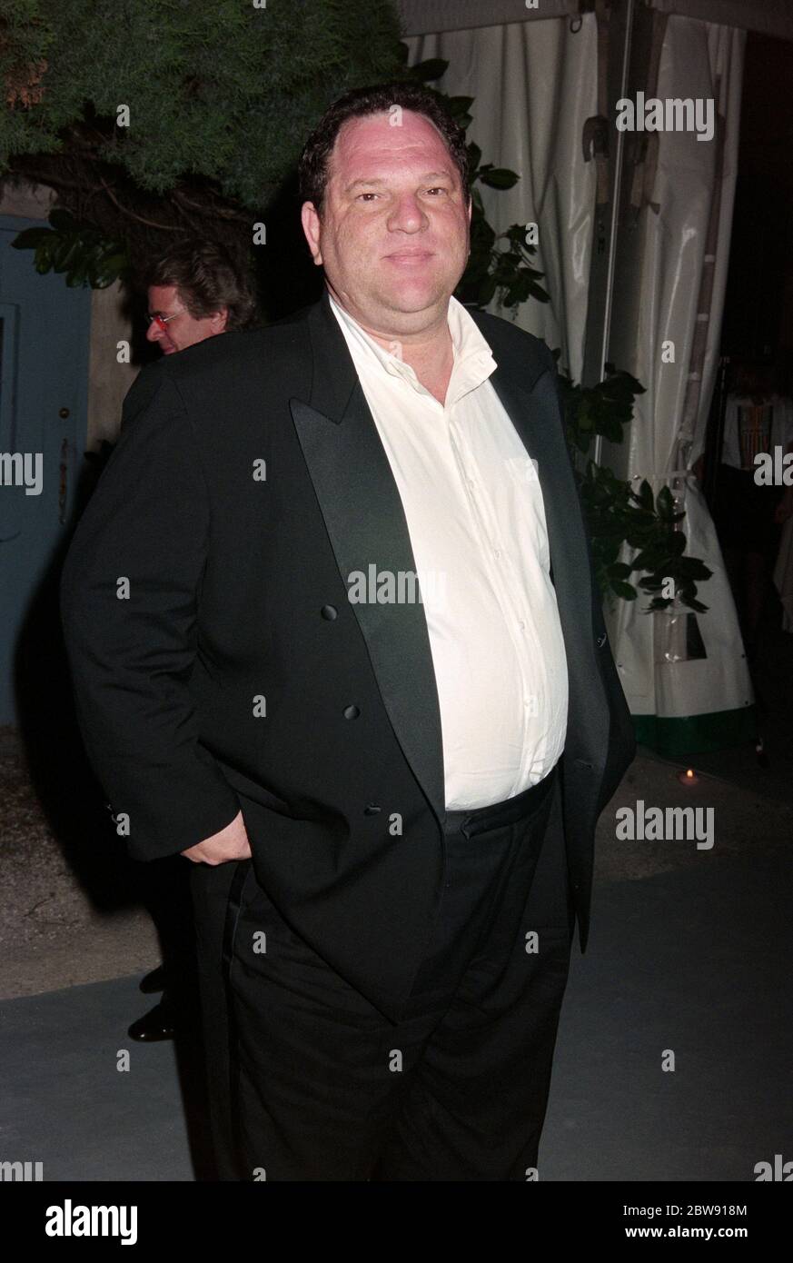 CANNES, FRANCE. May 1996: Producer Harvey Weinstein at the 49th Cannes ...