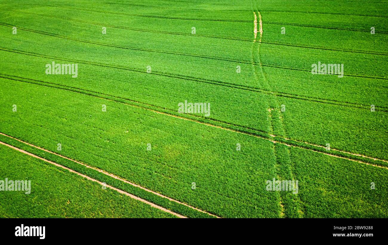 Tractor tracks and green field in spring, aerial view Stock Photo - Alamy