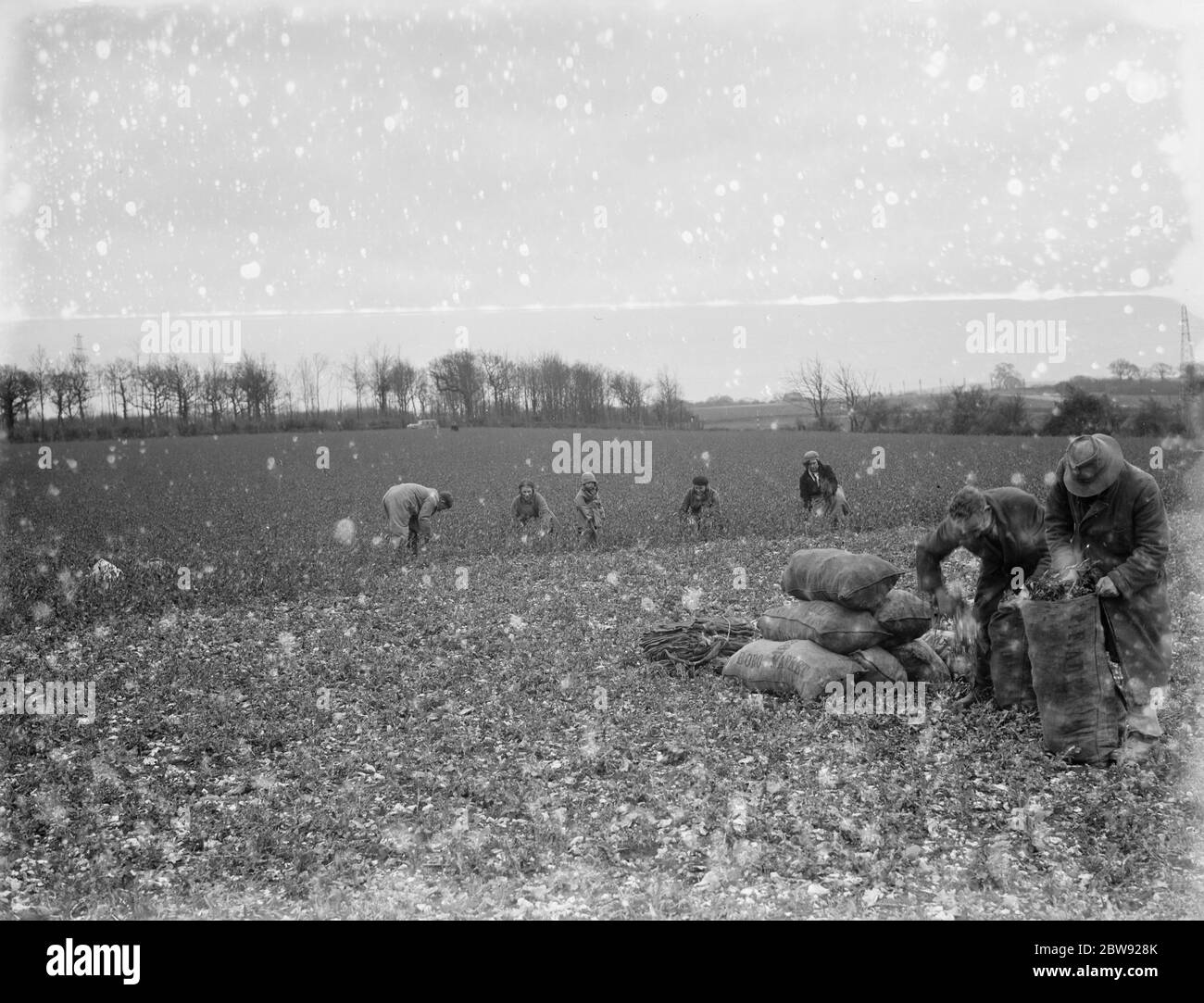 Human consumption hi-res stock photography and images - Alamy