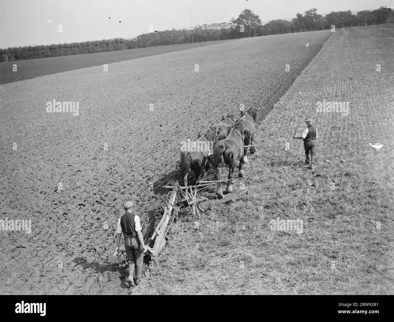 Horse plough ww2 Black and White Stock Photos & Images - Alamy