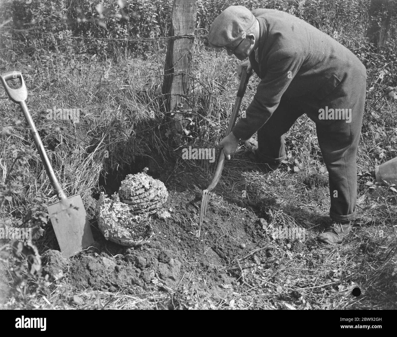 Shovel Digging Business