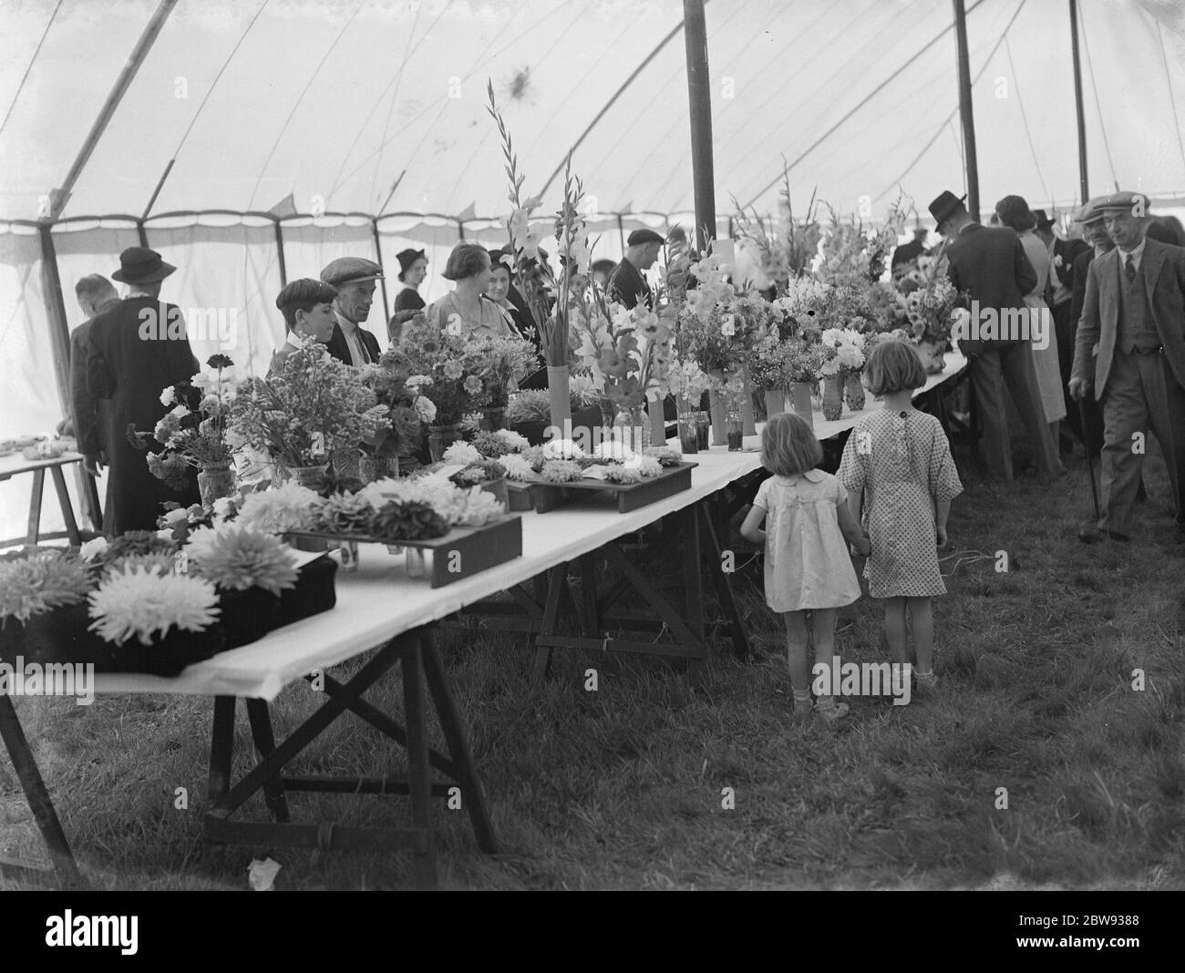 The Spring Flower Show at Longfields , Kent . 1939 Stock Photo - Alamy