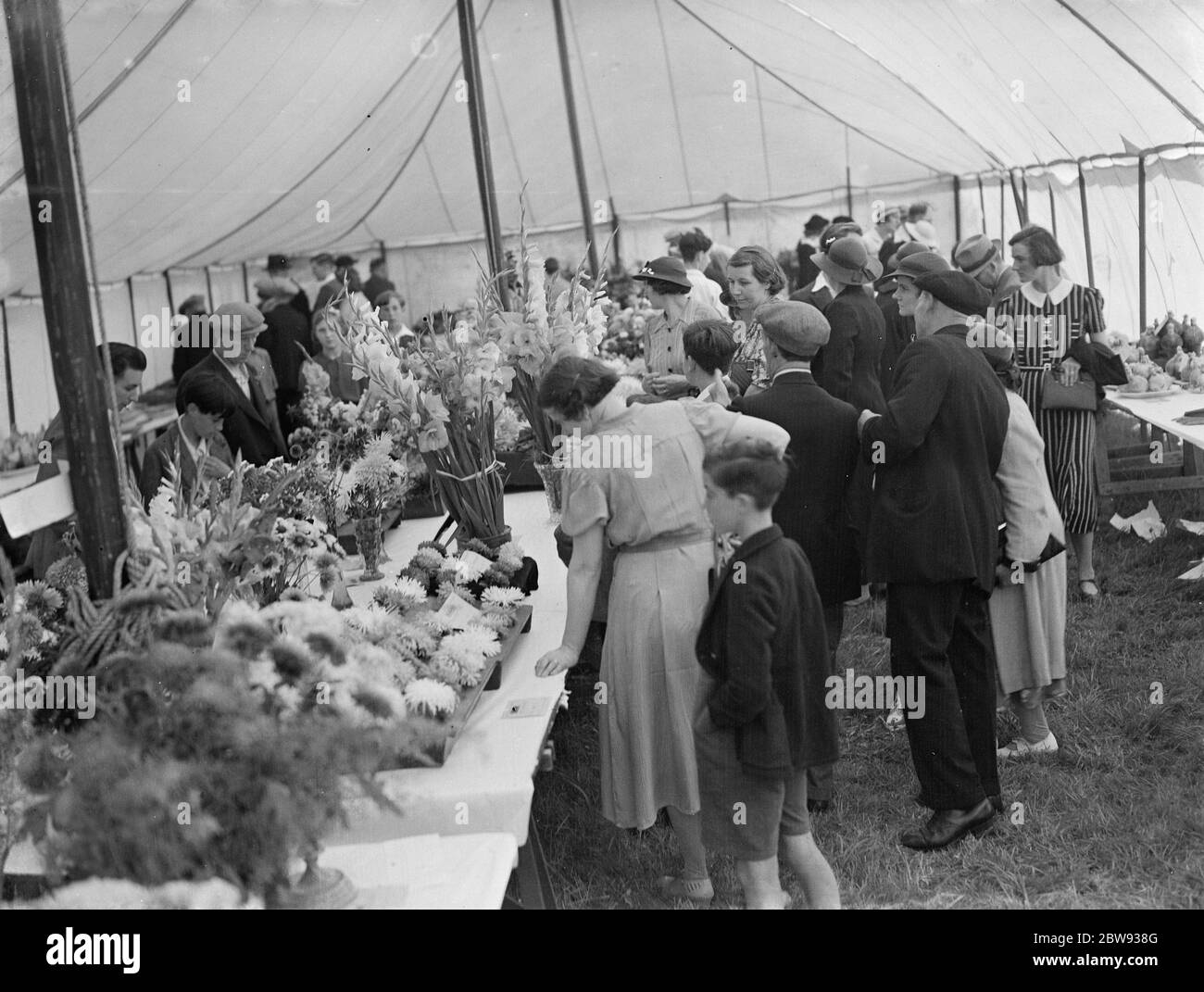 The Spring Flower Show at Longfields , Kent . 1939 Stock Photo - Alamy