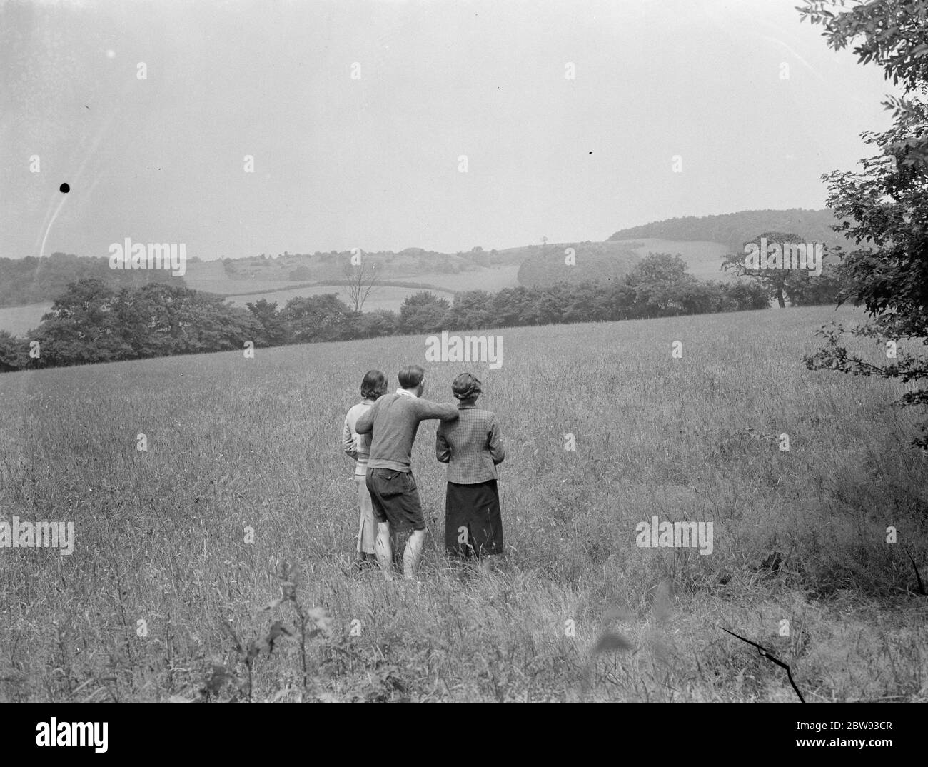 Taking in the view from a field on Farthing Street in Farnborough ...